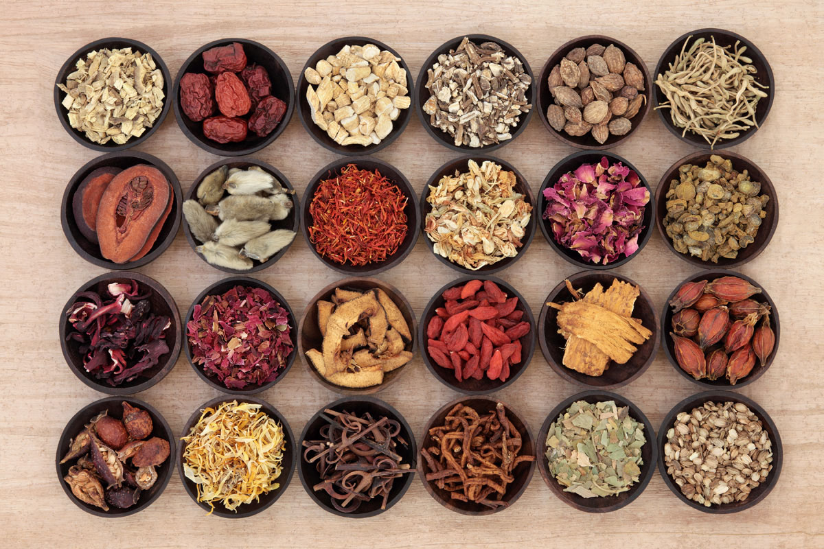 CKF Acupuncture | Glenview, IL | Cynthia Funai, L. Ac, Dipl. OM